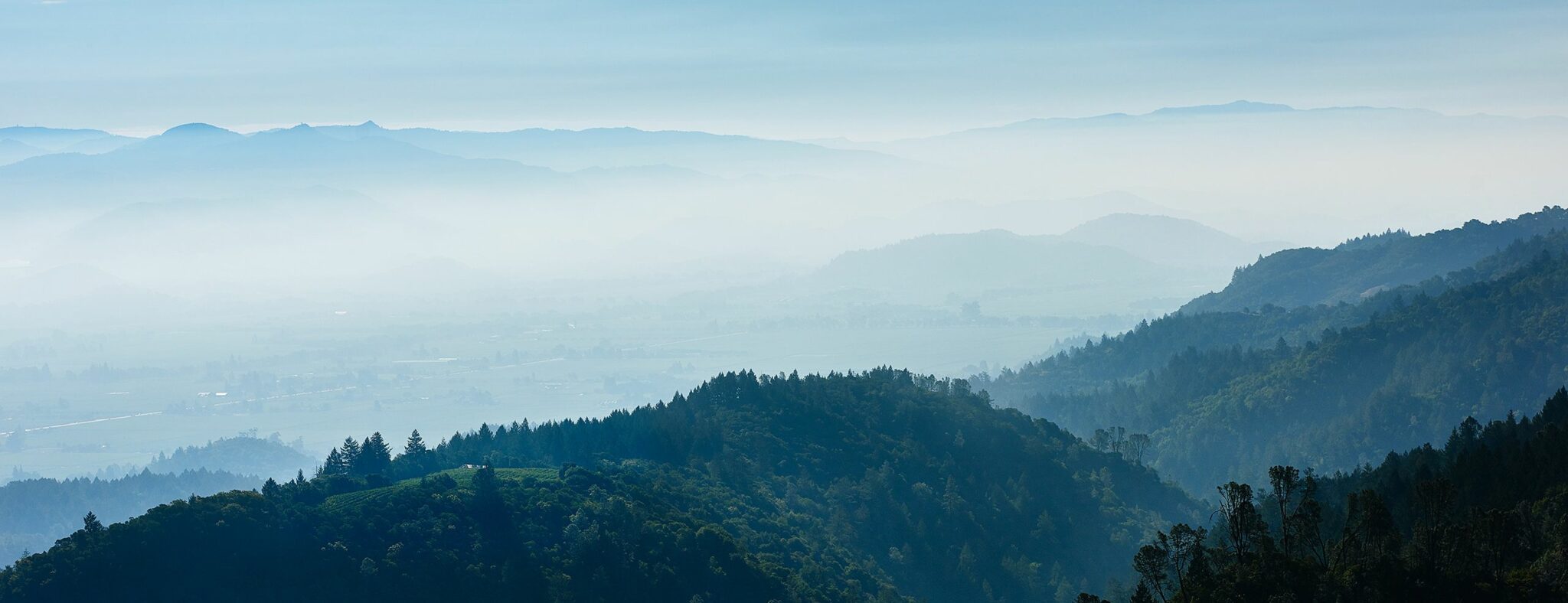 Mayacamas Estate - Long Meadow Ranch
