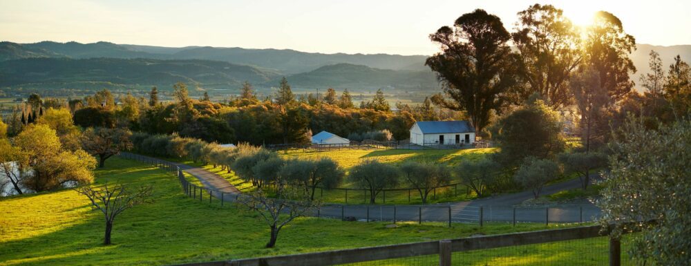 Membership - Long Meadow Ranch